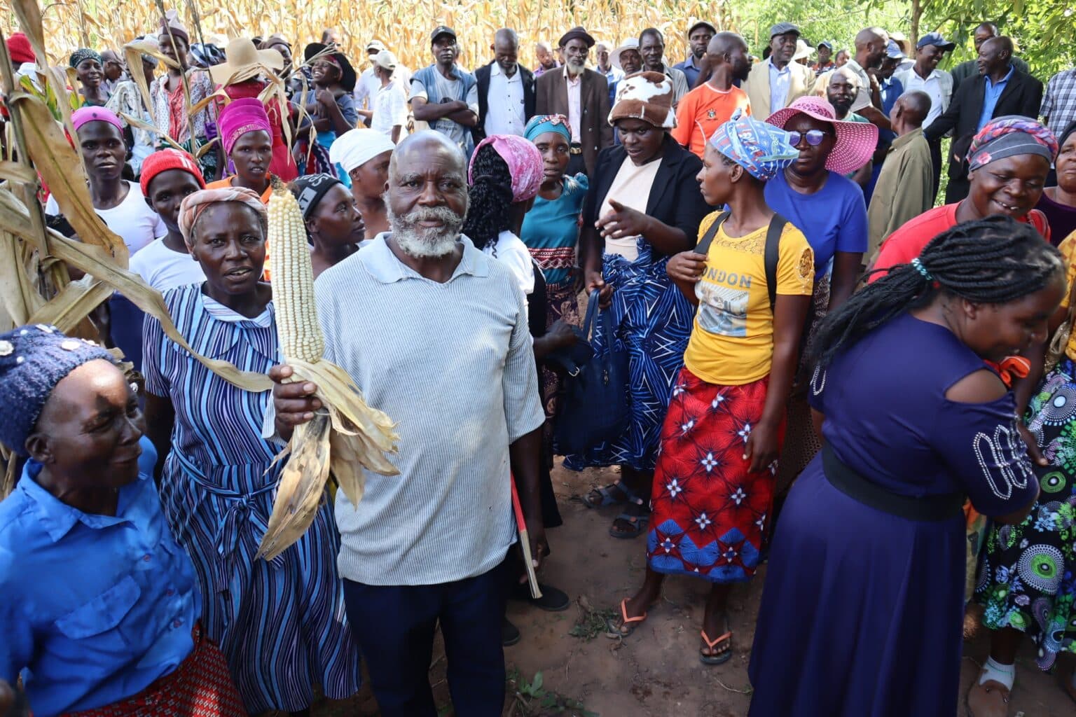 Building Sustainable Livelihoods and Climate Resilience in Zimbabwe ...